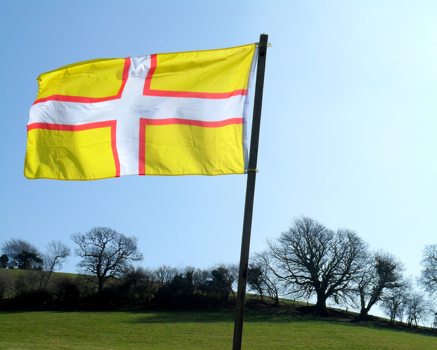 Colour in Dorset! | Historic County Flags Day