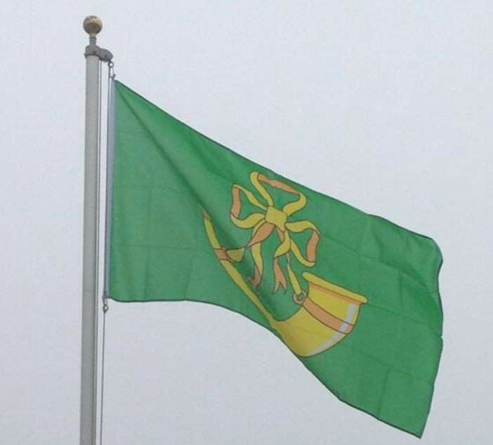 Latest News | Historic County Flags Day | Colour Your County! | Page 4