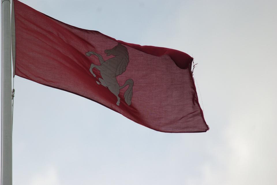 Colour in Kent! | Historic County Flags Day