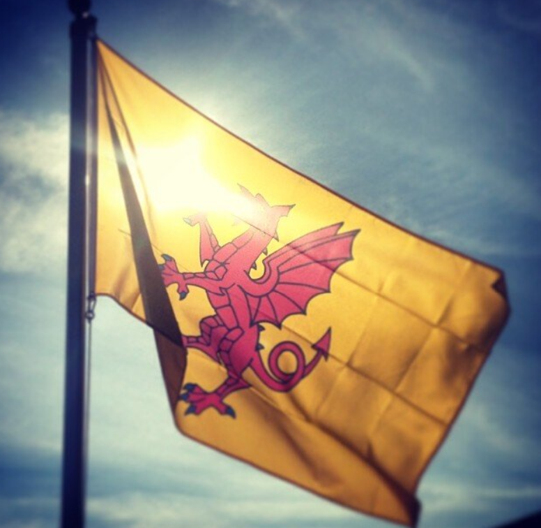 Colour in Somerset! | Historic County Flags Day