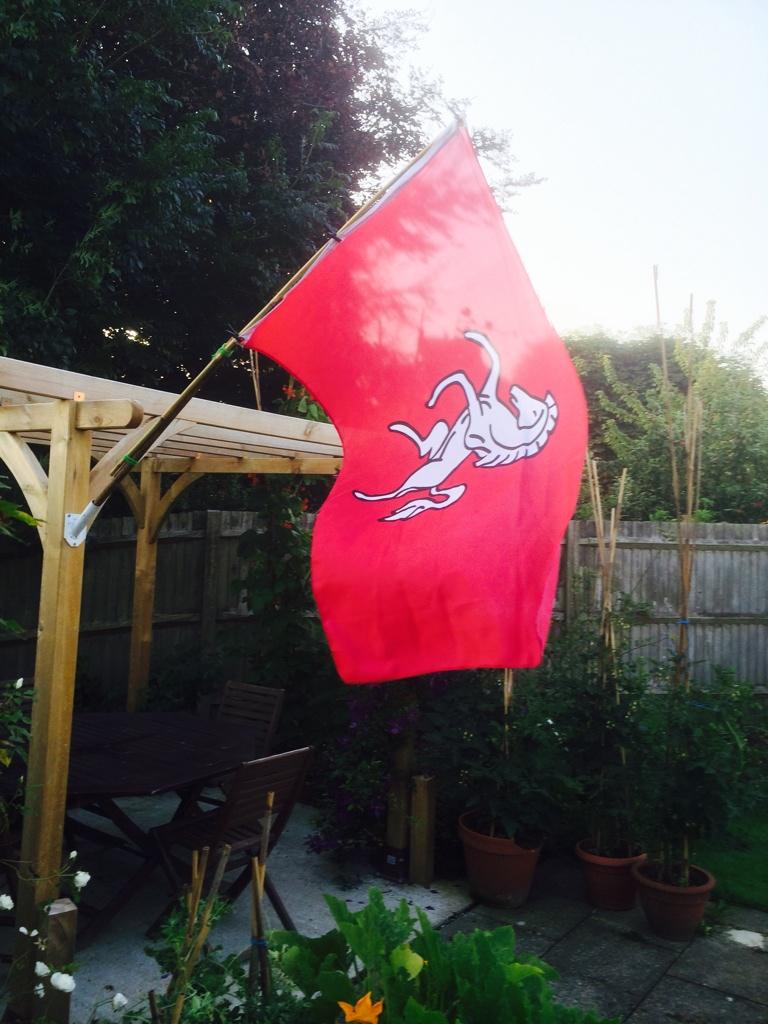 Latest News | Historic County Flags Day | Colour Your County!