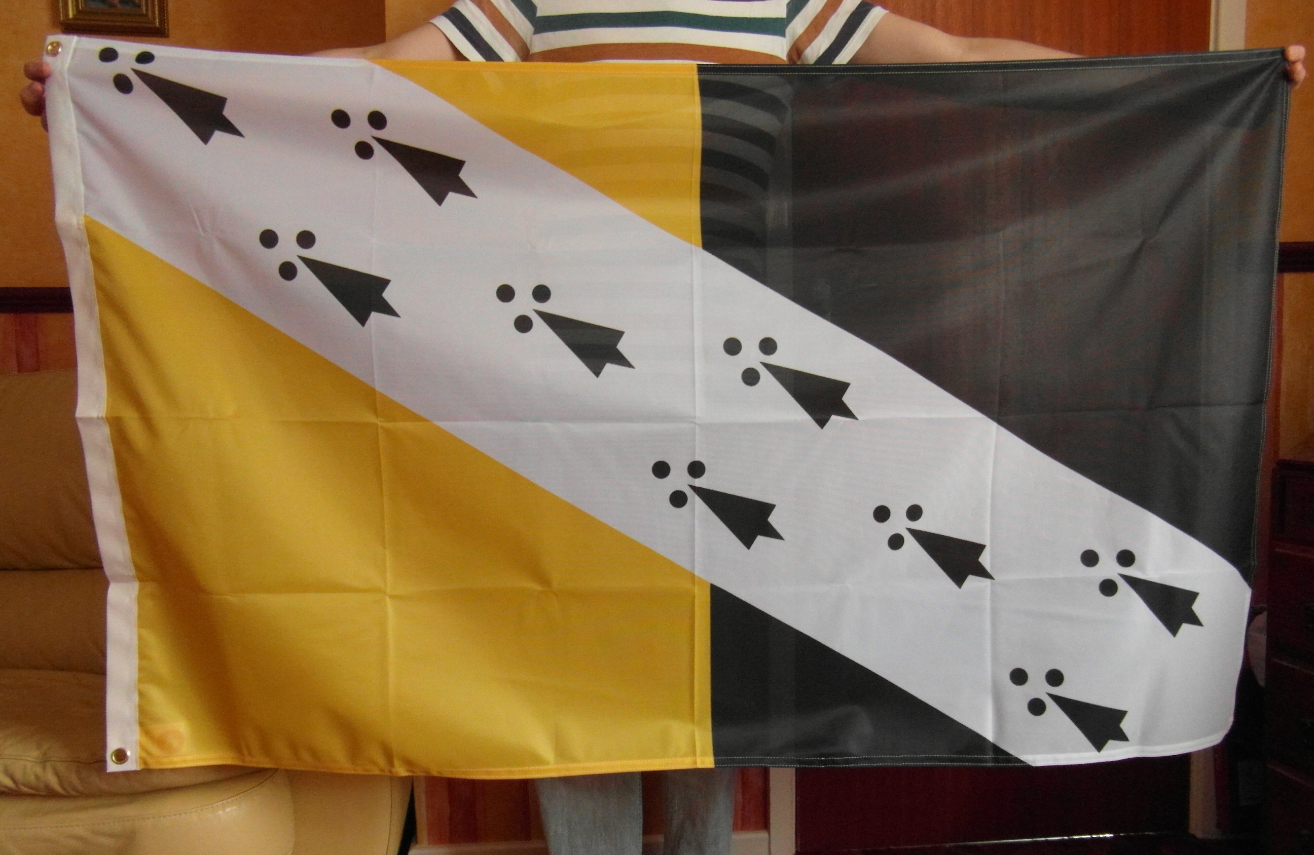 Latest News | Historic County Flags Day | Colour Your County! | Page 2