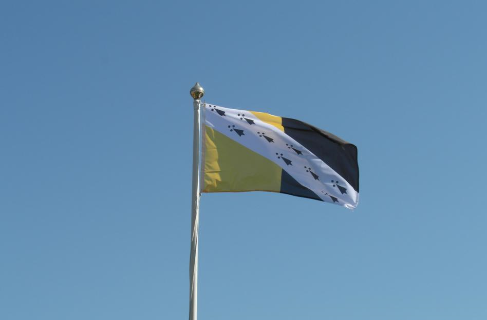Latest News | Historic County Flags Day | Colour Your County!