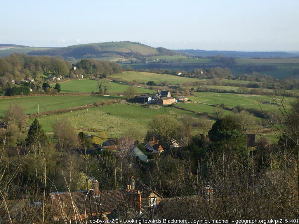 Dorset Day – 1st June | Association of British Counties