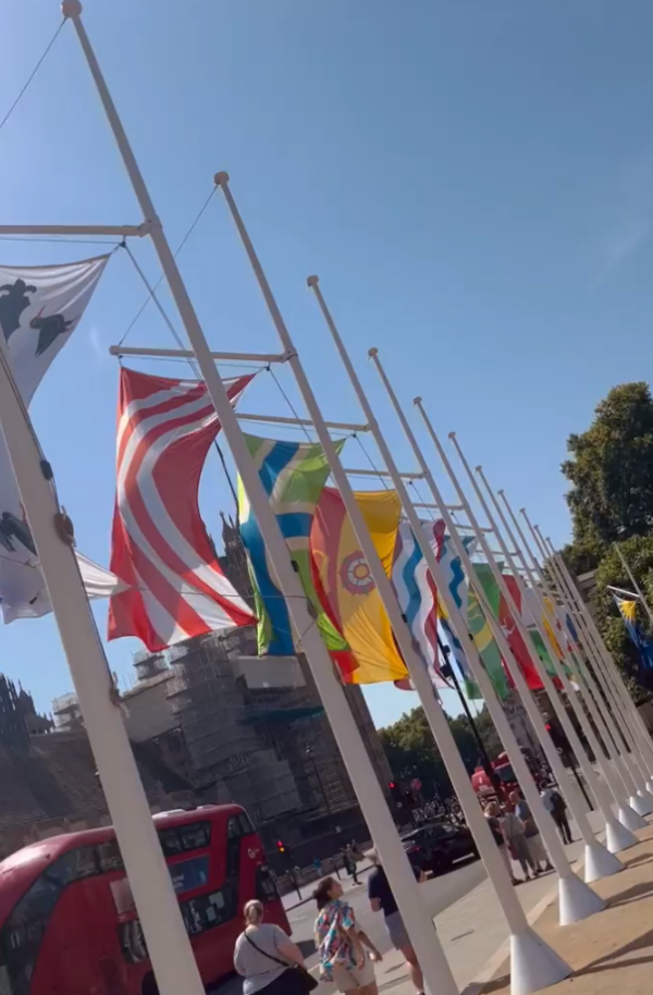 County flags fly in Parliament Square for Historic County Flags Day ...