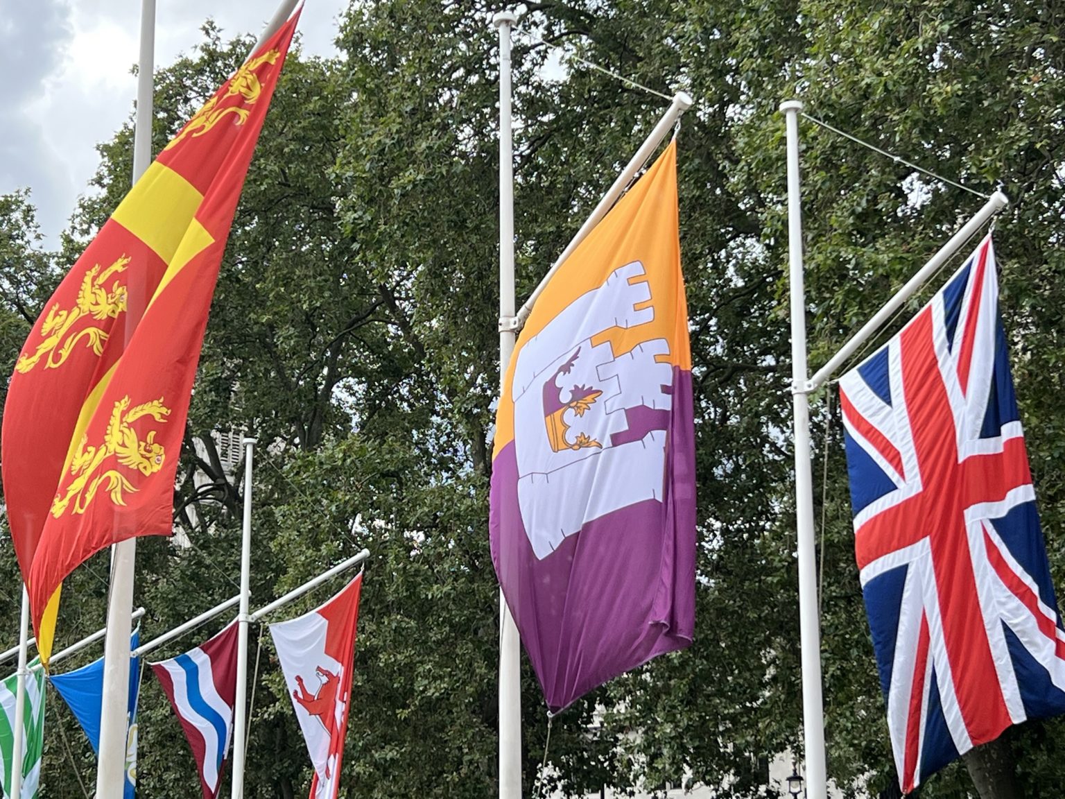 Historic County Flags Day – 23rd July 2023 | Association of British ...